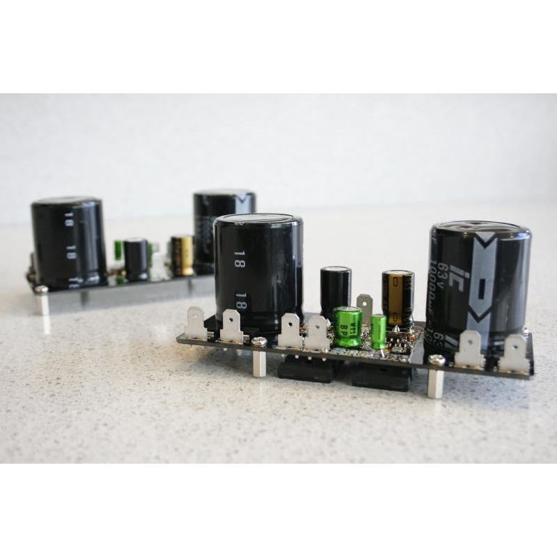 NXV201PS Mini Mono Block Amplifier Module | Holton Precision Audio