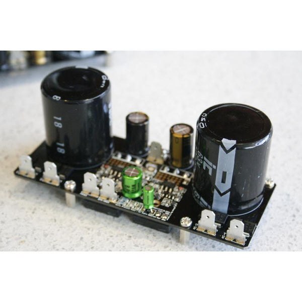 NXV201PS Mini Mono Block Amplifier Module | Holton Precision Audio